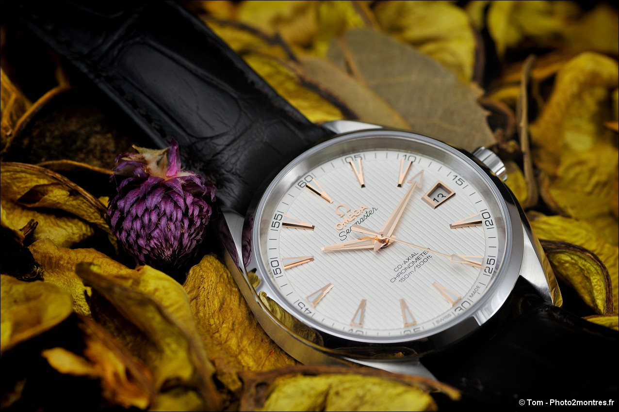 Watch pics - Omega Seamaster Aqua Terra Chronometer 8500